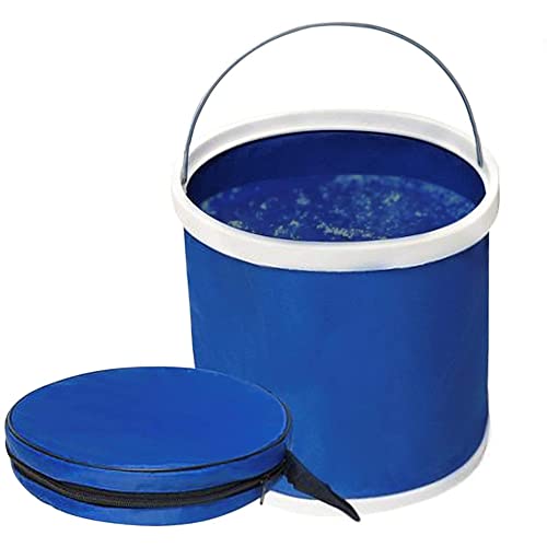 Hospital Tank for Betta: Best Safehouse for Your Betta - Animals Log