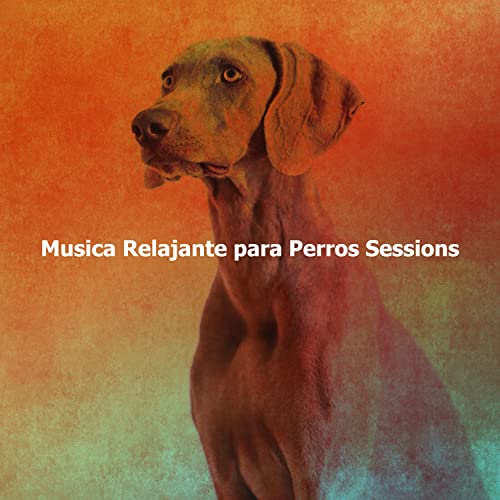 Play Musica Relajante para Perros Sessions by Musica Relajante para ...