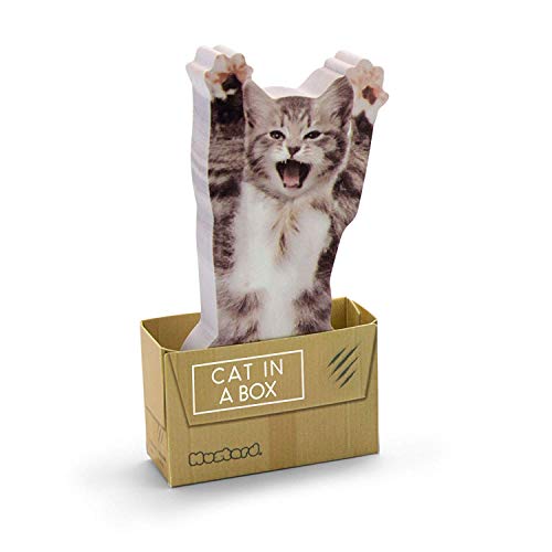 Cat In A Box – The 15 best products compared - Wild Explained