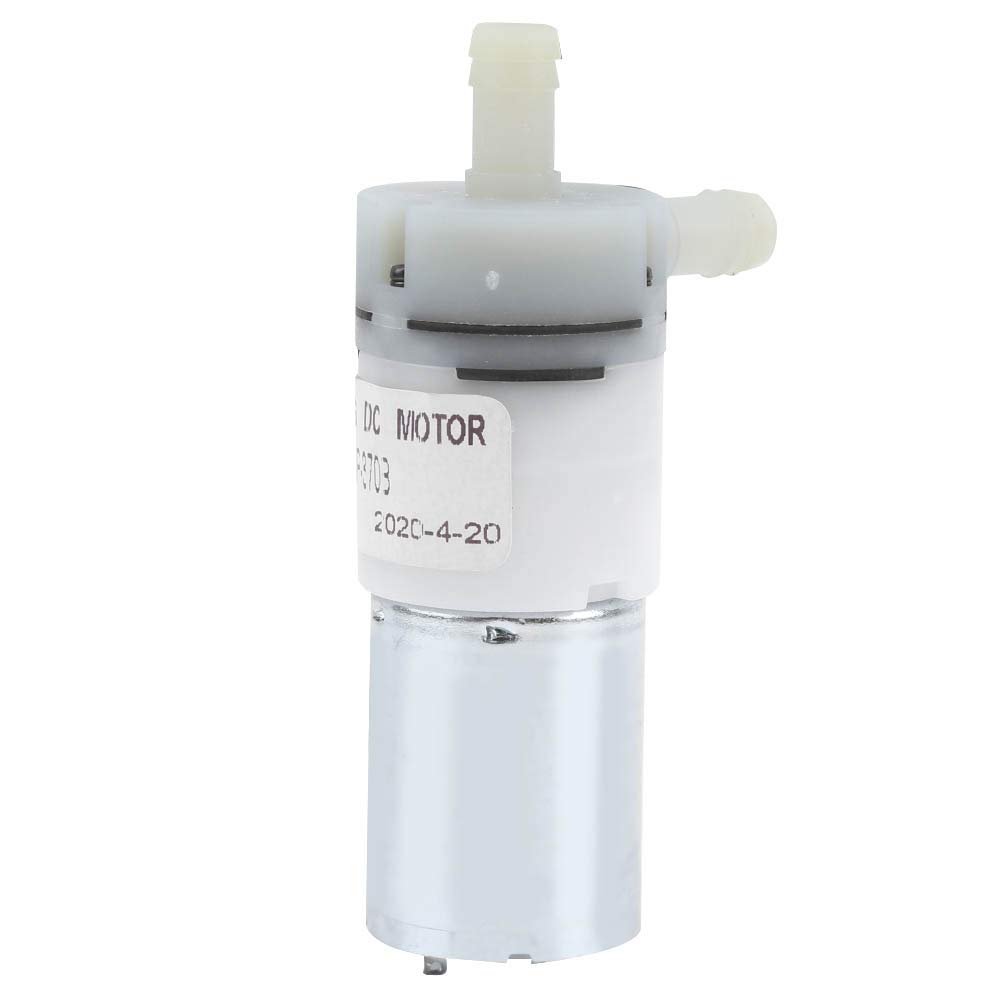 Mini Water Pump, Micro Submersible Motor Stainless Steel Pump Rated ...
