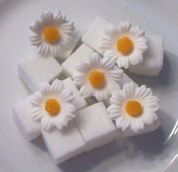 Amazon.com: Daisy Sugar "Cubes" : Grocery & Gourmet Food