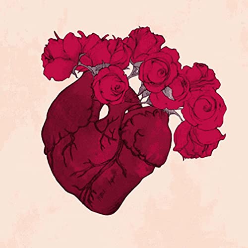 Play Alive by Man Behind the Machine on Amazon Music