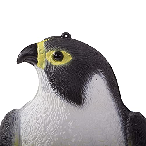 Fake Falcon Scarecrow Bird Bollard Scares Garden Pigeons – BigaMart