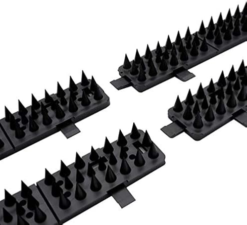 Amazon.com : Critter Pricker Raccoon Deterrent Proven Humane Dog Cat ...