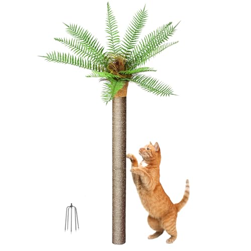 Outdoor Cat Tree – The 15 best products compared - Wild Explained