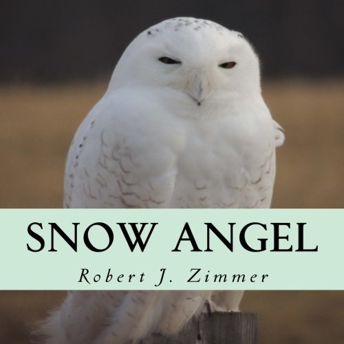Buy Snow Angel Book Online at Low Prices in India | Snow Angel Reviews ...