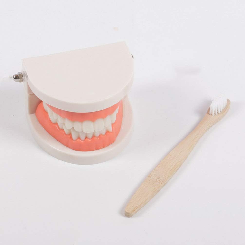 TOYANDONA Montessori Practical Life Brushing Teeth Model and Cards ...