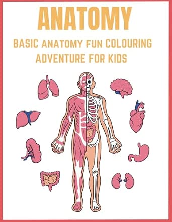 Anatomy: Basic anatomy fun colouring adventure for kids: publishing ...
