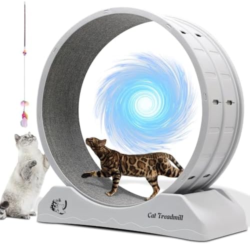 WUDLEP Cat Exercise Wheel, Cat Wheel Indoor, Running Wheel with ...