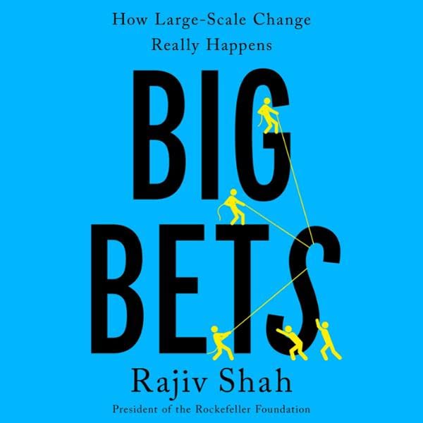 Amazon.com: Big Bets: How Large-Scale Change Really Happens (Audible ...
