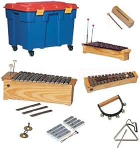 Amazon.com: Lote instrumentos material didáctico (baúl incluido ...