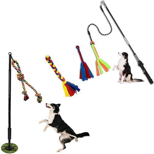 Pet Supplies : Flirt Pole for Dogs, Interactive Dog Toys Teaser Wand ...
