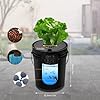 Amazon.com : Hydroponics Growing System, 5 Gallon Hydroponic Bucket Kit ...