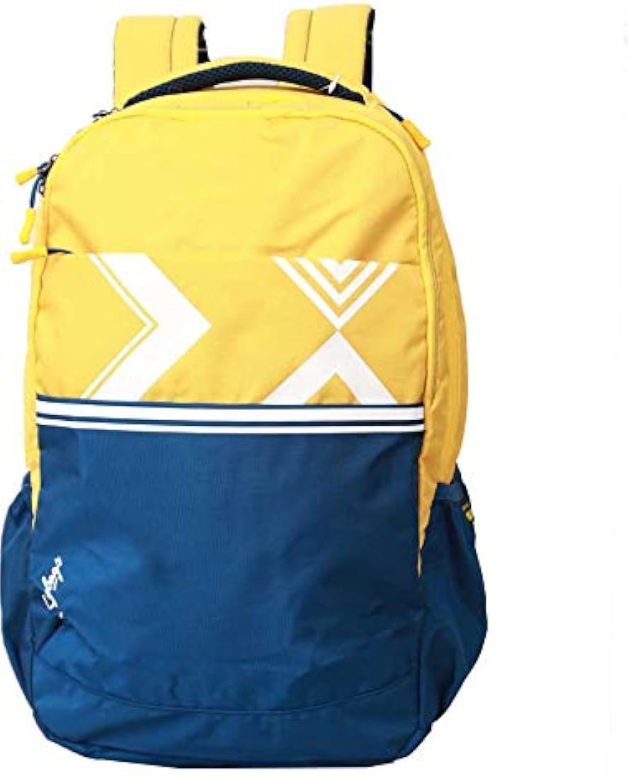 HP X Entry Backpack Light weight Upto 15.6 Inch Laptop Backpack (Black ...