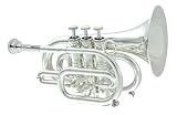 ・ブランド:Carol Brass・製造元:Carol Brass・モデル:0381012・製造元/メーカー部品番号:0381012・調子:B♭・仕上げ:銀メッキ・ベル:ゴールドブラス ベルサイズ:120mm・リードパイプ:イエローブラス ...