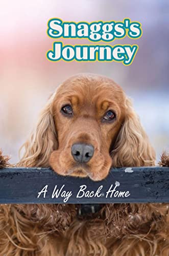 Dog Snagger – Die 16 besten Produkte im Vergleich - Haustierratgeber ...