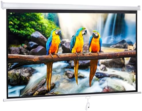 Amazon.com: Saicool Projector Screen 120 Inch 1:1 HD Portable Manual ...