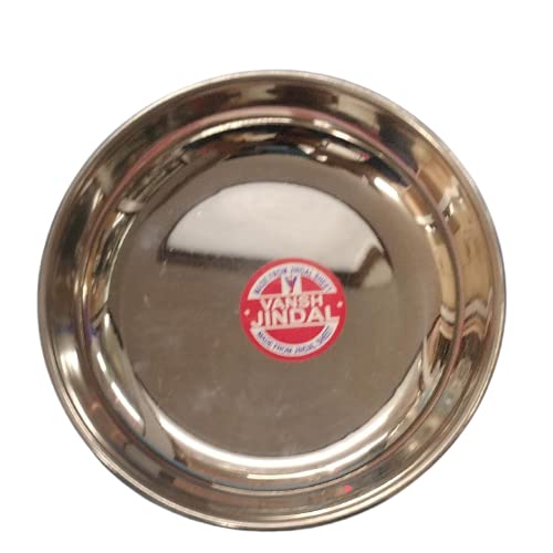 Buy Steel Traditional Dinner Plate (Pack of 12) Online at Low Prices in ...