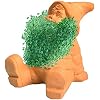 Amazon.com : Chia Pet Gnome with Seed Pack, Decorative Pottery Planter ...