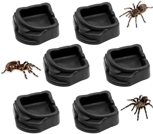 Amazon.com : FUATY 6 Pcs Spider Micro Water Bowls, Mini Resin Dish for ...