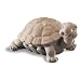 Amazon.com : Sunterra Turtle Spitter 350104 : Pond Decor : Patio, Lawn ...