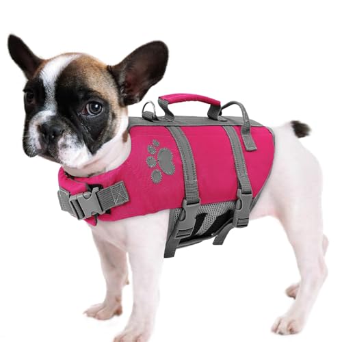 Best Life Vest for Cat and Small Pets for Water Safety – The Marine Mag