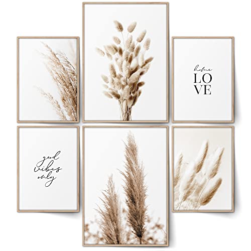 Pampasgras Zeichnung – Die 15 besten Produkte im Vergleich - The Digital Talents