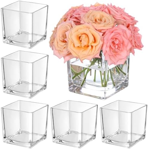 Amazon.com: Tioncy 12 Pcs Clear Square Vase 5'' x 5'' Acrylic Flower ...