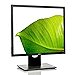 Amazon.com: DELL 19in P1917S IPS BACKLIT LED LCD 1280X1024 5:4 SCREEN ...