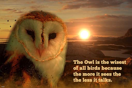 Inspiring Owl Quotes Owl Sayings Embroidery Design