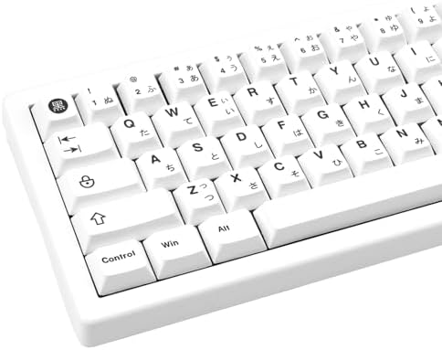 Amazon.com: TIMSEKER 125 Keys White PBT Keycaps Set, Custom Keyboard ...