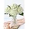 Amazon.com: SUMTIPHUN 4 Pcs Real Touch Hydrangeas White Artificial ...