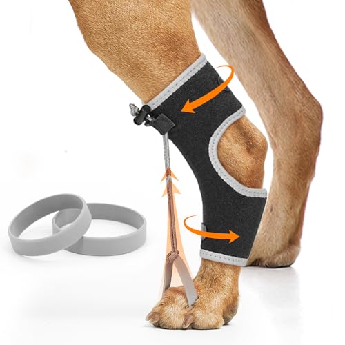 Knuckling In Dogs – The 15 best products compared - Wild Explained