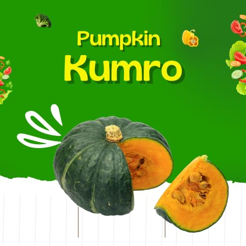 Desi Pumpkin or Kaddoo or Kumro Plant Seed - Bengal Village Seed ...