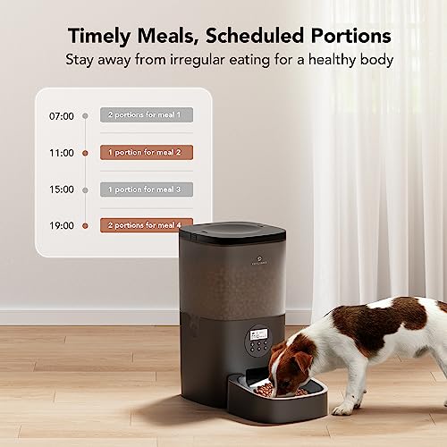 The 30 Best Automatic Dog Feeders with Timer of 2025 [Verified ...