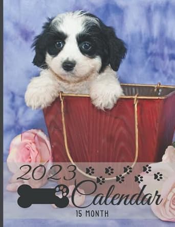 cavachon puppy Calendar 2023: Perfect for schedule your appointments ...