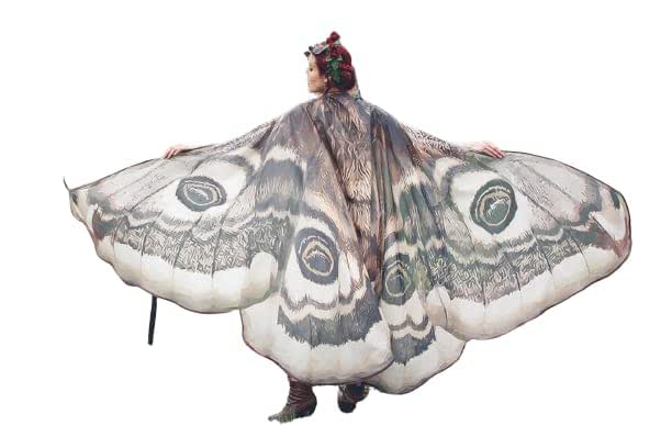 Moth wings butterfly cape fairy cloak red and black Halloween costume ...
