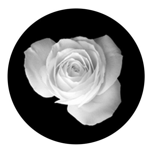 Rose - Super Resolution Gobo - Amazon.com Music