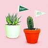 Amazon.com : NPW Plant Life Letter Print Felt Pennant Style Flags, 1 ...