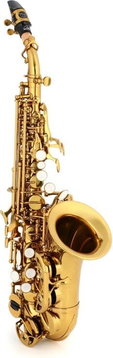 Amazon.com: BetterSax Classic Curved Soprano Saxophone – Pro Design ...