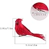 Amazon.com: GTIDEA 12 Packs Christmas Red Cardinal Birds Clip on ...