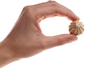 Amazon.com : Preen Pets Chicken & Quinoa Cookies with Organic Coconut ...