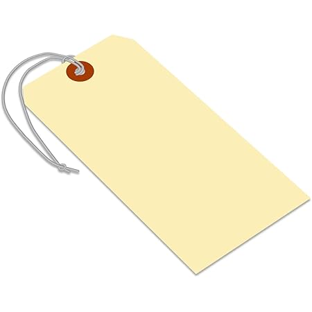 Amazon.com : Blank Manila Shipping Tags with Elastic String - Coideal ...