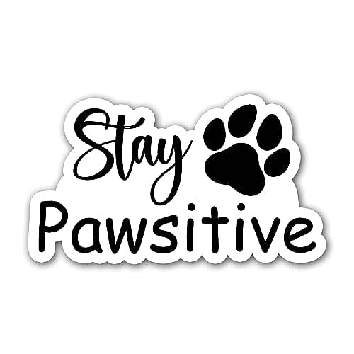 Amazon.com: Akira Stay Pawsitive Sticker, Motivational Sticker ...