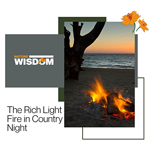 The Rich Light Fire in Country Night de VARIOUS ARTISTS no Amazon Music ...