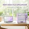 Amazon.com: SUPEASY 6 Tier Paper Organizer with 4 Pen Holders, Mesh ...