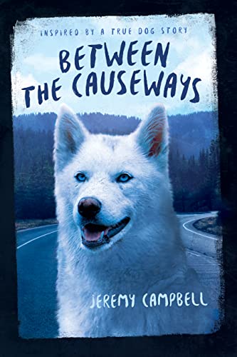 Between the Causeways: Heartwarming Southern novel about friendship and ...