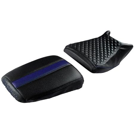 TVS Raider 125 Bike SEAT Cover : Amazon.in: Car & Motorbike