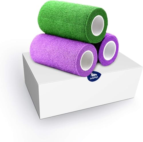 Cat Wound Care – The 15 best products compared - Wild Explained