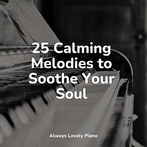 25 Calming Melodies to Soothe Your Soul von Piano Relaxation Maestro ...
